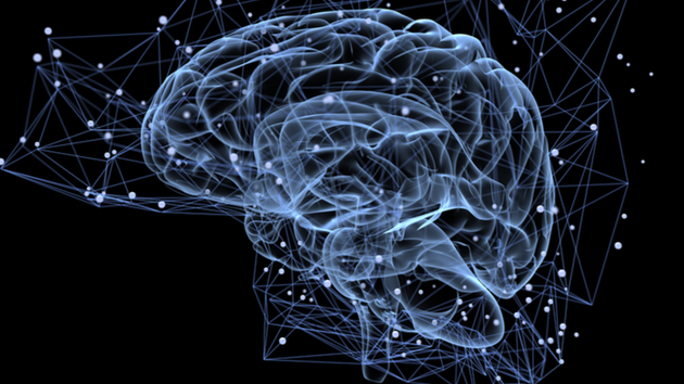 Neuronales Netz Ein Einfaches Neuronales Netz